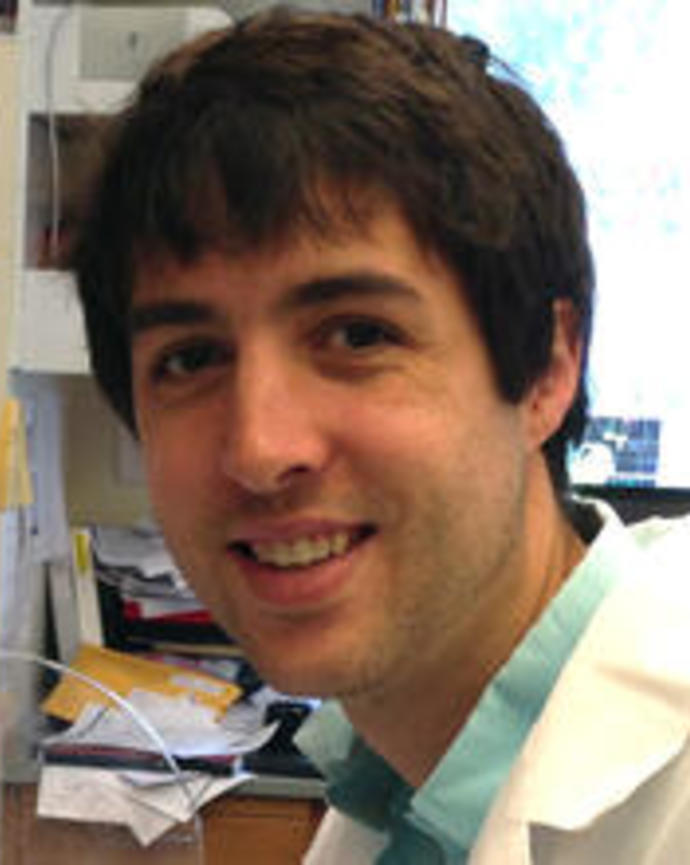 Faculty | Harvard Biological & Biomedical Sciences PhD Program